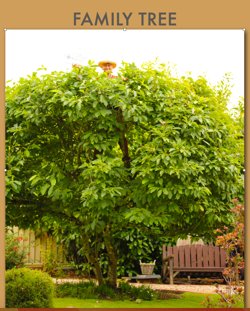 Family Tree – Lynch Syndrome Ireland