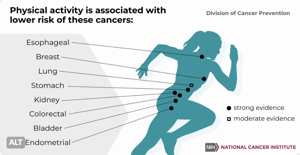 Physical Activity and Cancer – Lynch Syndrome Ireland