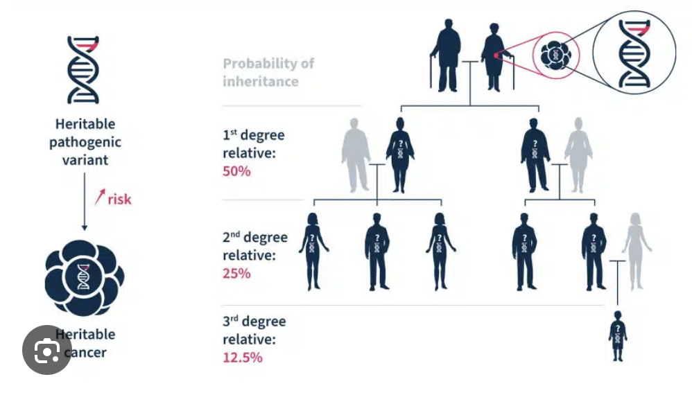Challenges and opportunities for Lynch syndrome cascade testing in the ...