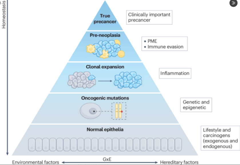 Defining precancer: a grand challenge for the cancer community – Lynch ...